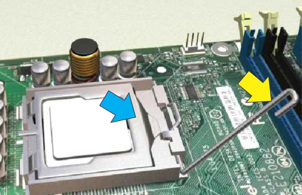 Conociendo el procesador de una computadora